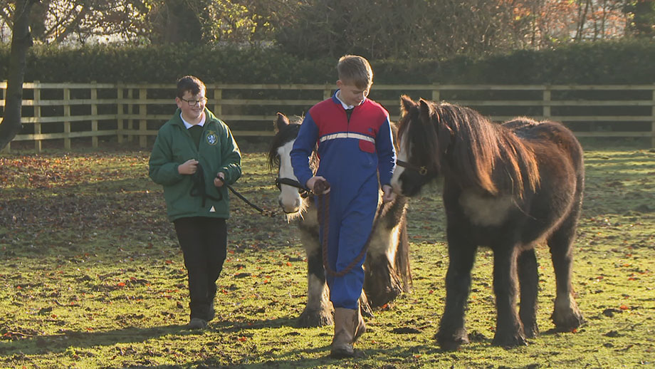 Welburn Hall School | Homepage